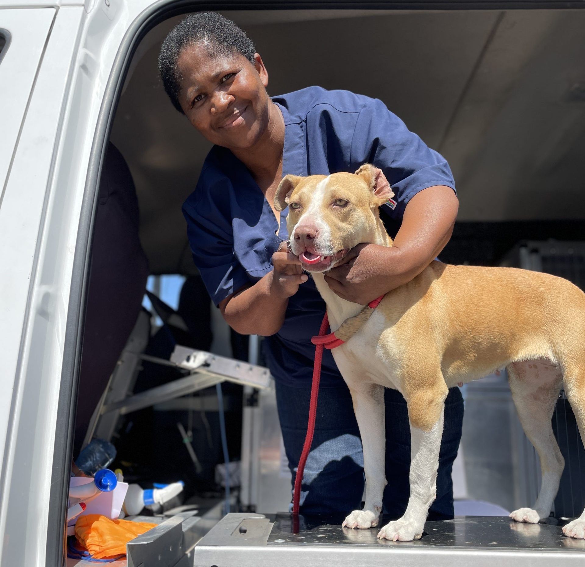 Animal Rescue Organisation: Supporting Animal Welfare